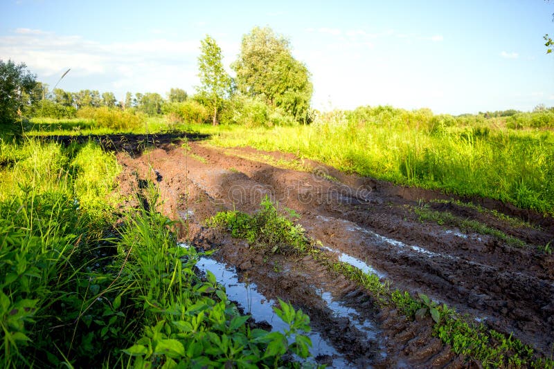 Dirt track in forest stock image. Image of extreme, environment - 95920487