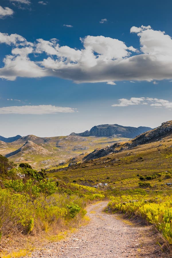 Dirt Track Hiking Paths on Top of a Mountain by the Coast Stock Image ...