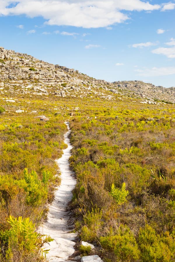 Dirt Track Hiking Paths on Top of a Mountain by the Coast Stock Image ...
