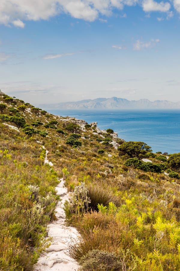 Dirt Track Hiking Paths on Top of a Mountain by the Coast Stock Photo ...