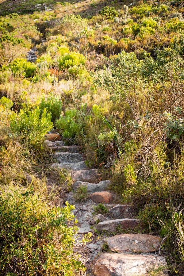 Dirt Track Hiking Paths on Top of a Mountain by the Coast Stock Photo ...
