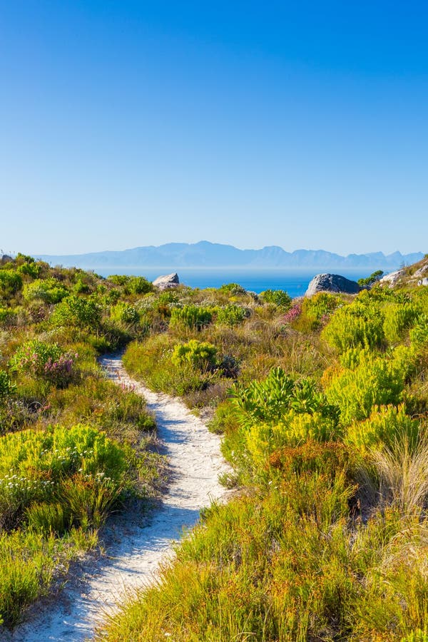 Dirt Track Hiking Paths on Top of a Mountain by the Coast Stock Image ...