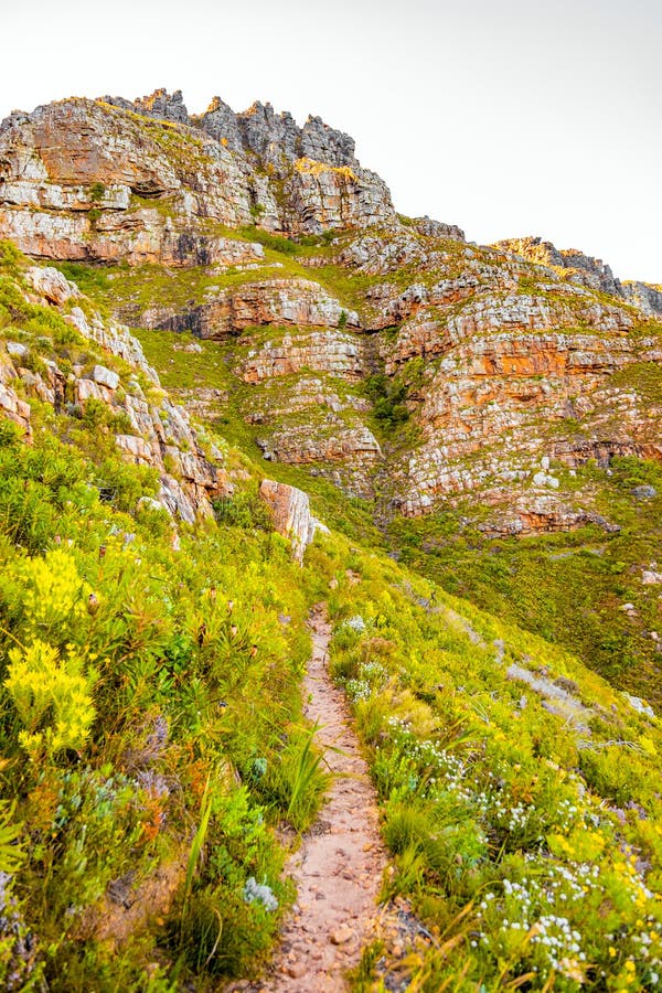 Dirt Track Hiking Paths on Top of a Mountain by the Coast Stock Image ...