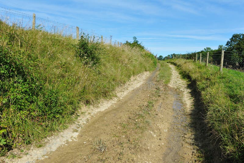 Dirt Track stock image. Image of empty, garden, agricultural - 46250975