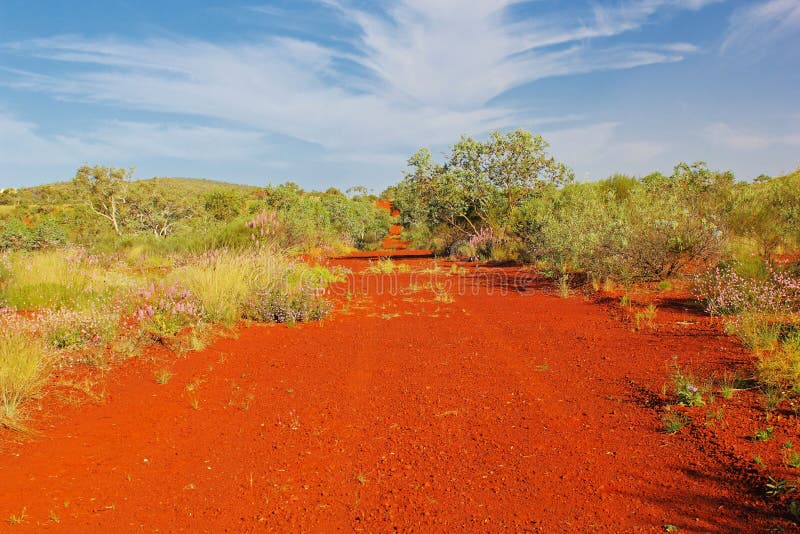 Dirt Trail Leading through Australian Outback Stock Image - Image of ...