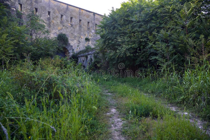 Dirt Trail that Leads To a Closed Gate Stock Photo - Image of grass ...