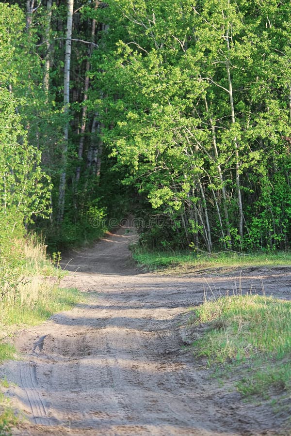 Path Splitting Woods Stock Photos - Free & Royalty-Free Stock Photos ...