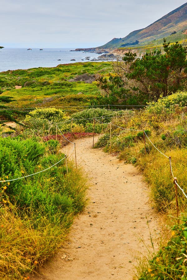 Dirt Trail with Thin Stick and Thin Thread Along Path Leading Down ...