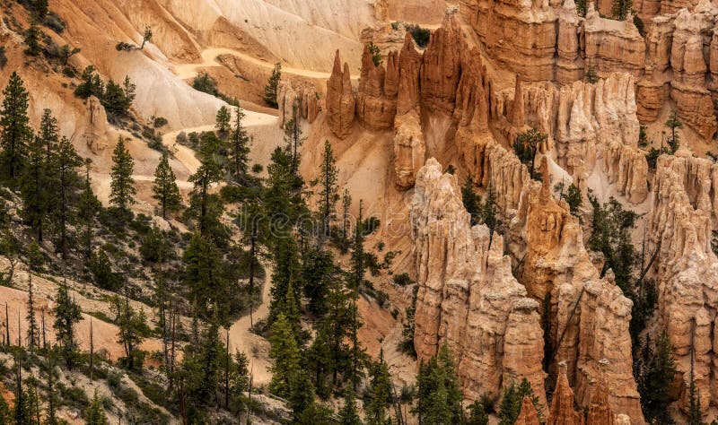 Dirt Trail Winds through Trees Next To Hoodoos Stock Image - Image of ...