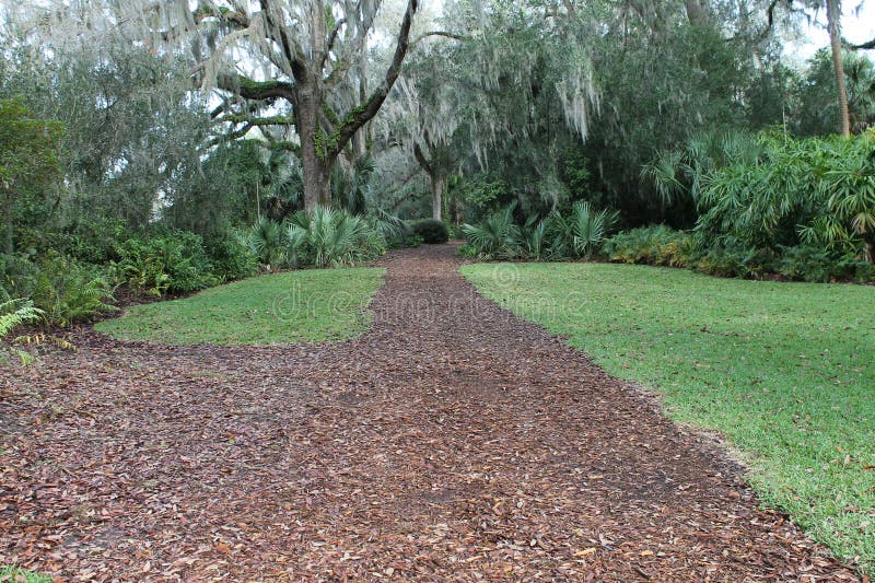 A Dirt Walk Way with Nice Lawn Stock Photo - Image of grass, field ...