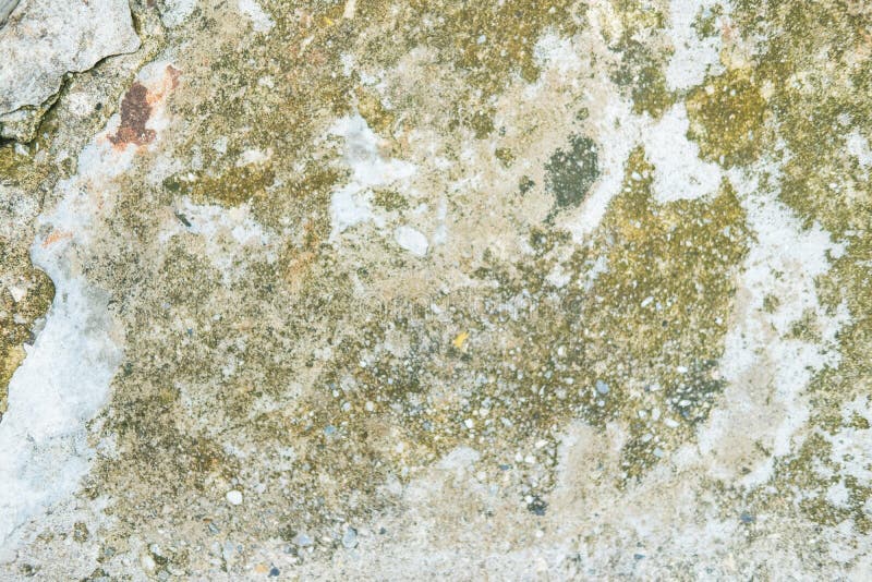 Dirt Wall with Moss Background and Texture Stock Image - Image of ...