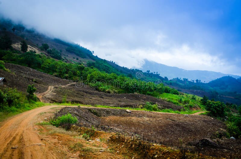 Dirt way on the mountain stock photo. Image of grass - 27040784