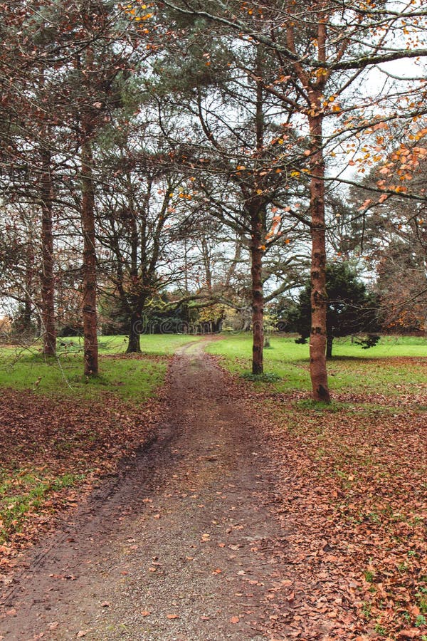 Dirth Path at the Top of Trail in Laguna Beach Stock Photo - Image of ...