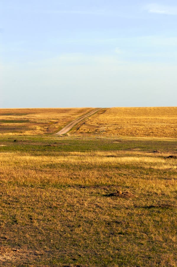 The Puszta stock photo. Image of hortobaiexcl, puszta - 62160902