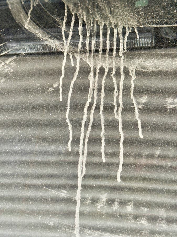 Dirty back glass of car stock photo. Image of rear, offroad - 314665032