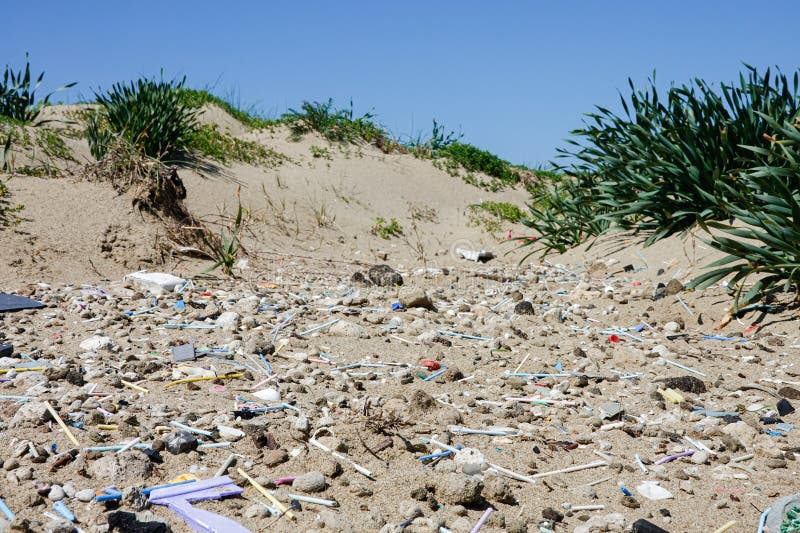 Dirty Beach Full of Plastic, Microplastic, Bottles, Shoes and Various ...