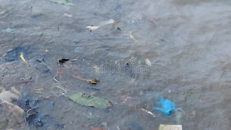 Dirty Beach, Plastic Pollution Floating in Ocean - Environmental ...