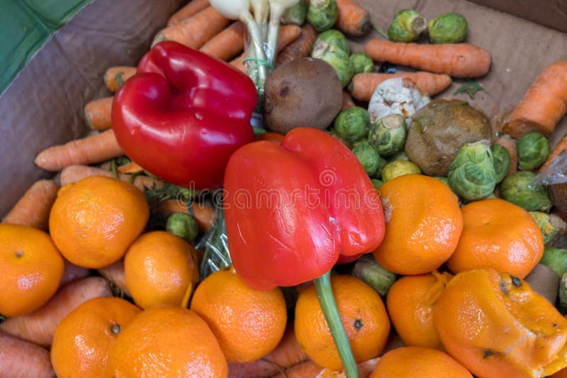 Dirty Boxes with Rotten Tangerines and Pepper. Garbage and Food Waste ...