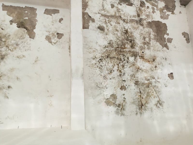 Dirty and Broken White Ceiling of a House Stock Image - Image of white ...