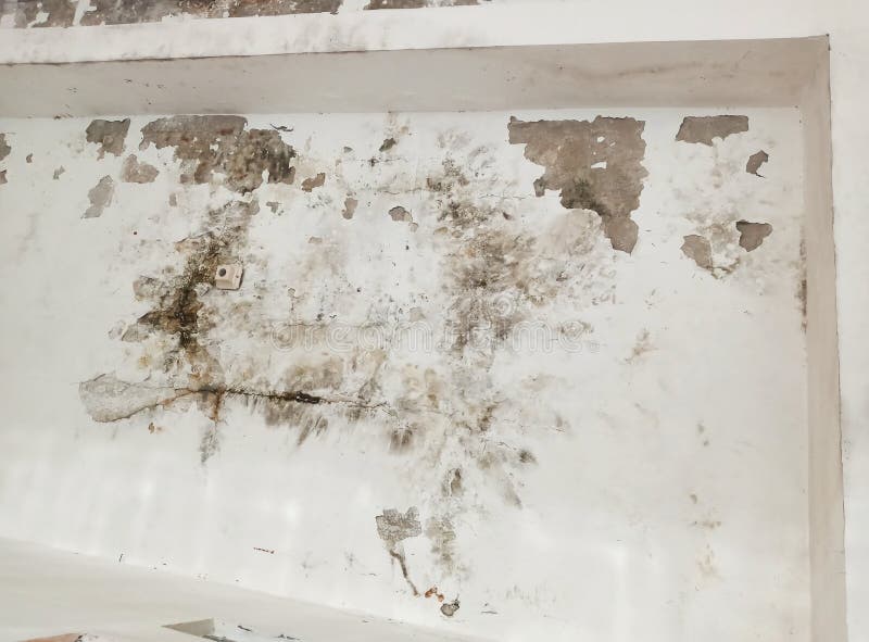 Dirty and Broken White Ceiling of a House Stock Image - Image of house ...