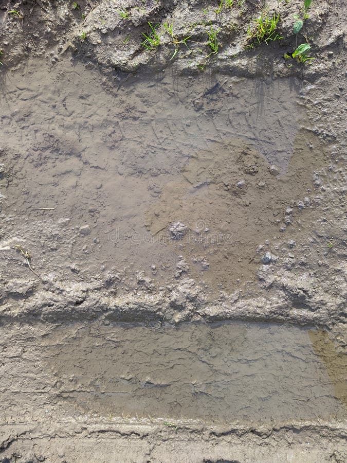 Dirty Brown Puddle in Nature during the Day. Stock Photo - Image of ...