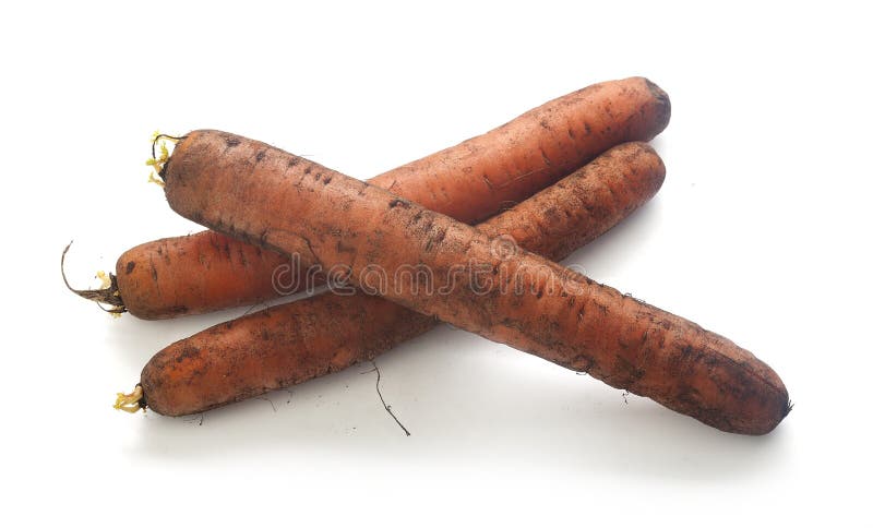 Carrot Dirty in Ground Close Up Isolated on White Stock Image - Image ...