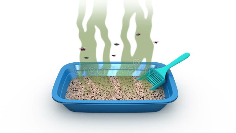 Dirty Cat Litter Box. 3D Animation. Alpha Channel, Loopable. Stock ...