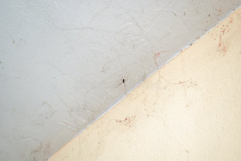 Dirty Ceiling and Wall Texture for Background. Stock Photo - Image of ...