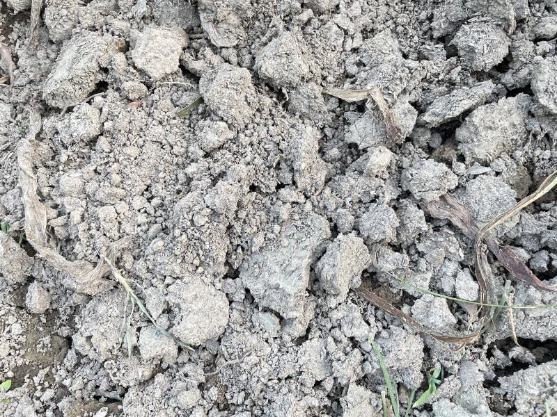 Gray Dry Sand Texture in a Heap Stock Image - Image of detail, built ...