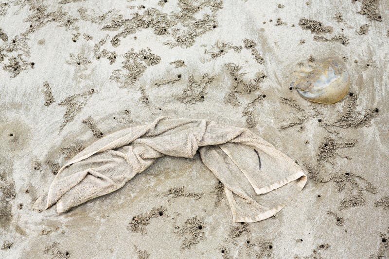 Dirty cloth on the beach stock photo. Image of shore - 33358738