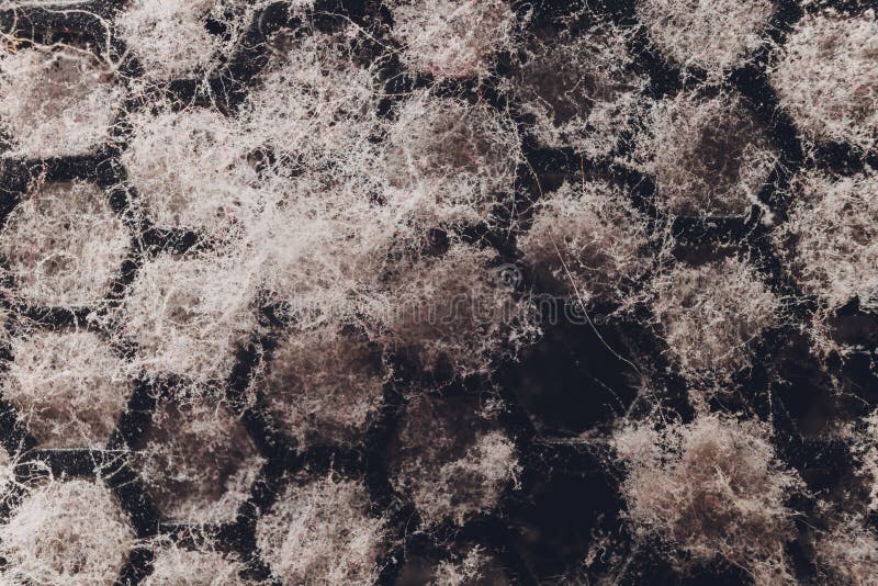 Dirty Computer Case.Dust Layer on the System Unit.Time To Clean Your ...