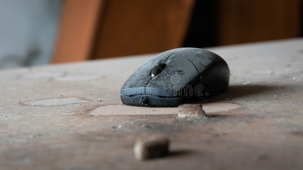 Dirty Computer Mouse Abandoned Building Stock Photo - Image of wood ...