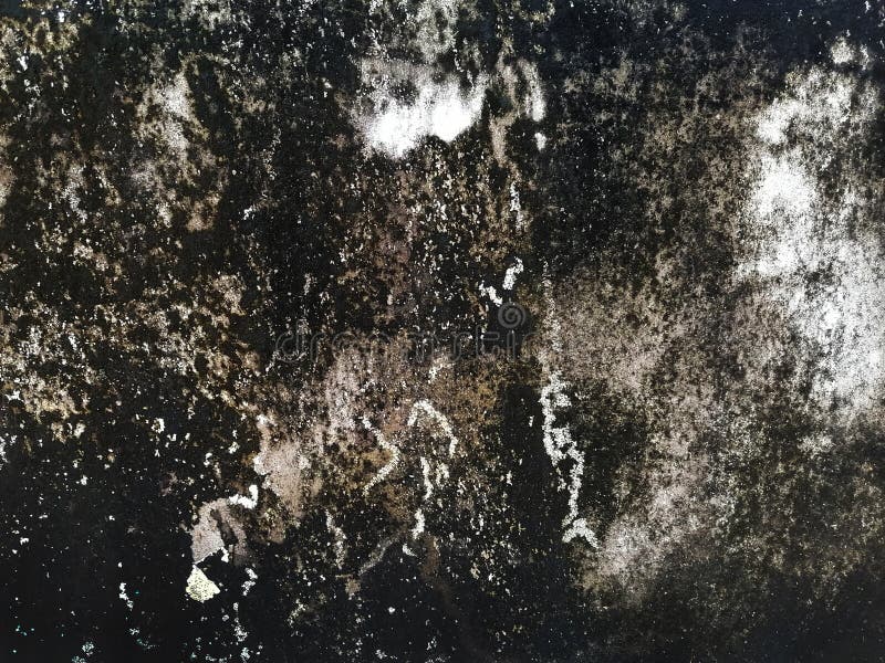 Dirty Concrete Wall Texture, Dirt Wall Stone Background, Cement ...