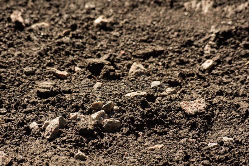 Dirty Construction Soil with Pebbles Stock Photo - Image of soft ...
