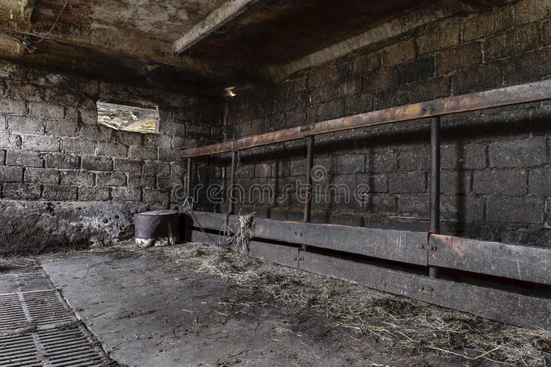 Dirty and Dark Farm Room for the Cows Stock Photo - Image of building ...