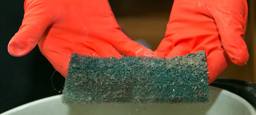 The Process of Cleaning a Room with a Vacuum Cleaner with an Aquafilter ...