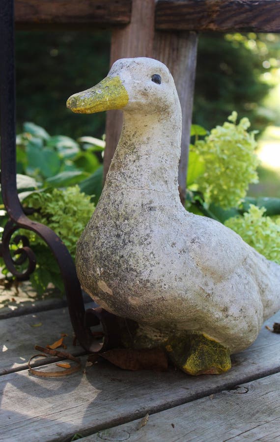 Dirty Duck 2 stock photo. Image of duck, yellow, bill - 100922452