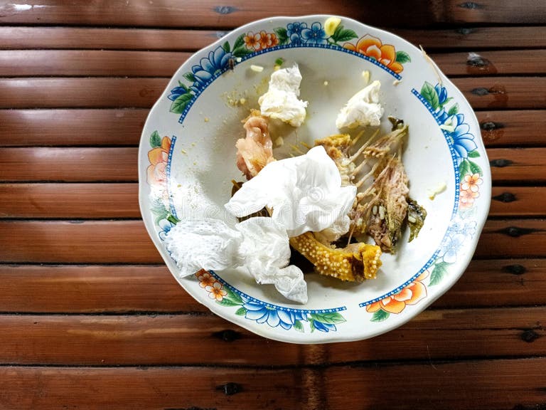 Dirty Empty Plate with Tissue and Fish Bone 01 Stock Image - Image of ...