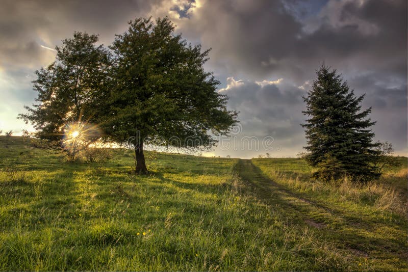 Dirty Field Road stock photo. Image of roads, sunburst - 78552556