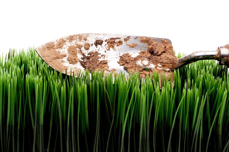 Dirty Garden Spade On Grass Picture. Image: 8515116