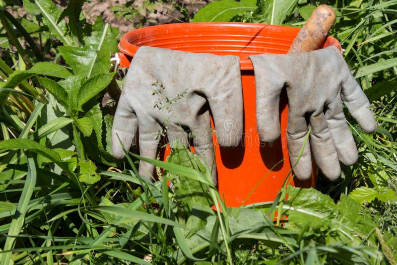 Dirty Gardening Gloves on a Plastic Red Bucket with Garden Tools Stock ...