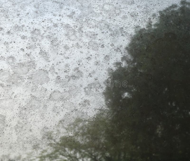 Dirty glass stock image. Image of plaster, effect, pattern - 80371225