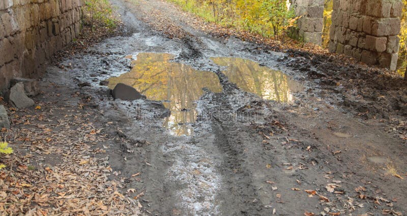 Dirty Ground Road in the Forest Stock Illustration - Illustration of ...