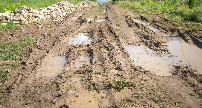Dirty Ground Road in the Nature at Spring Time Stock Image - Image of ...