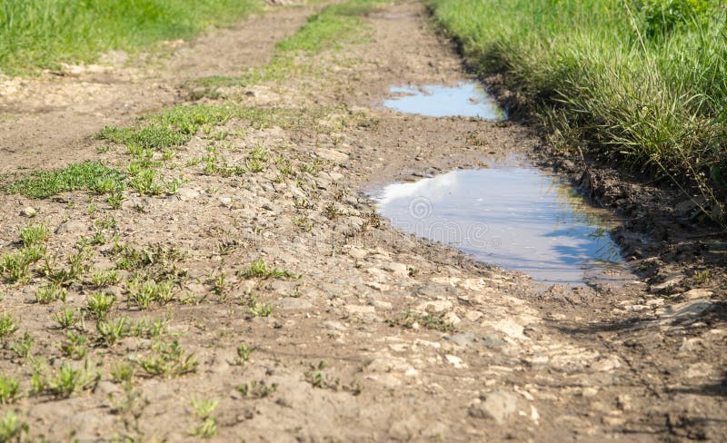 Dirty Ground Road in the Nature at Spring Time Stock Image - Image of ...