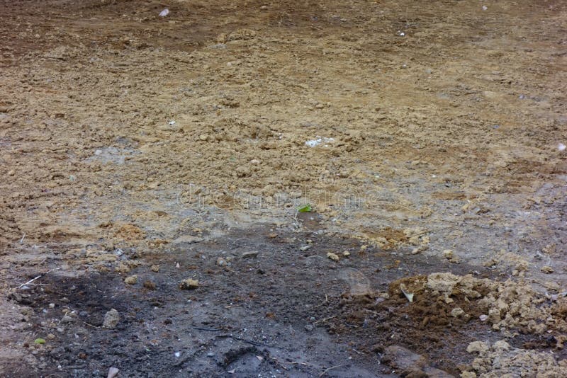 Dirty ground surface stock photo. Image of brown, outdoor - 172041820