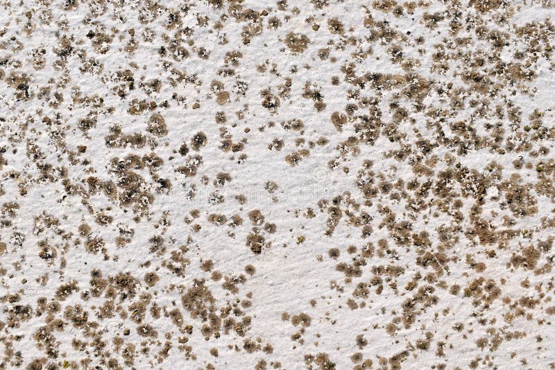 Dirty Grunge Painted Concrete Wall with Mold Stains. Stock Image ...