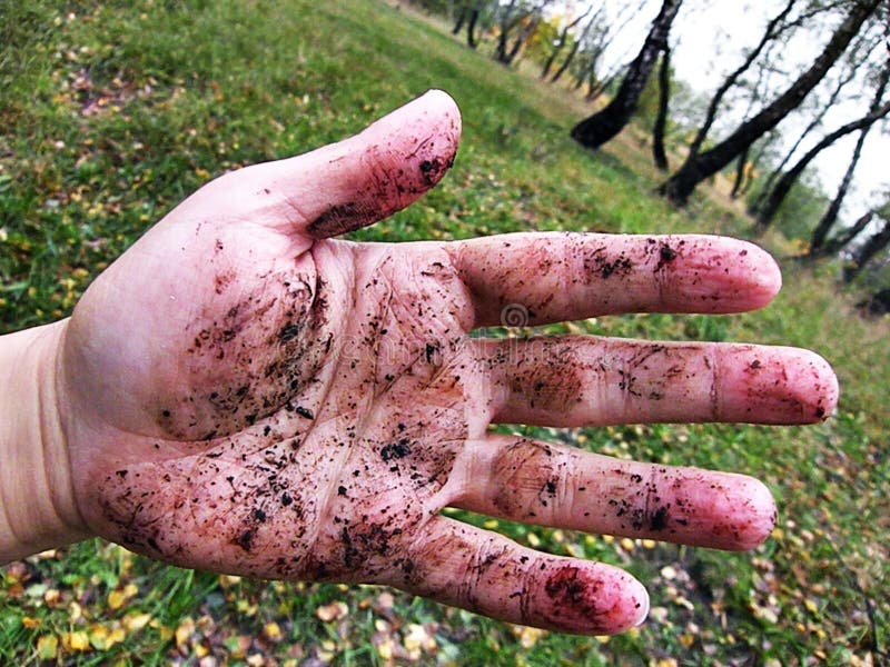 Dirty hand stock image. Image of skin, hand, dirty, forest - 102985233