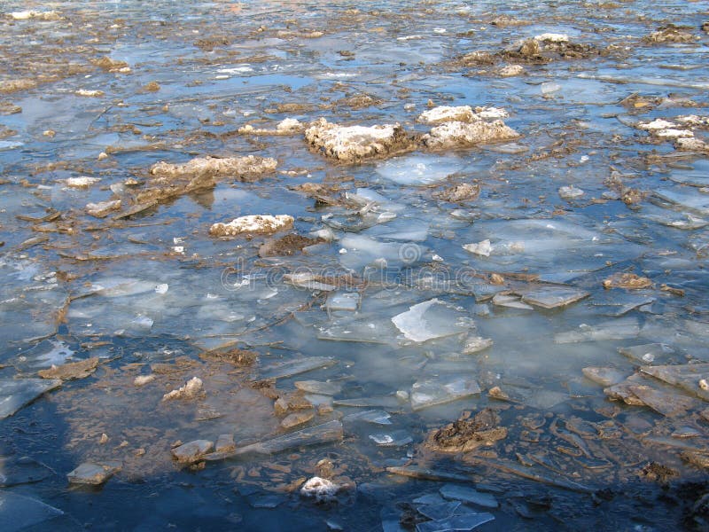 Pollution Oil spot water stock photo. Image of slimy, damage - 5205874