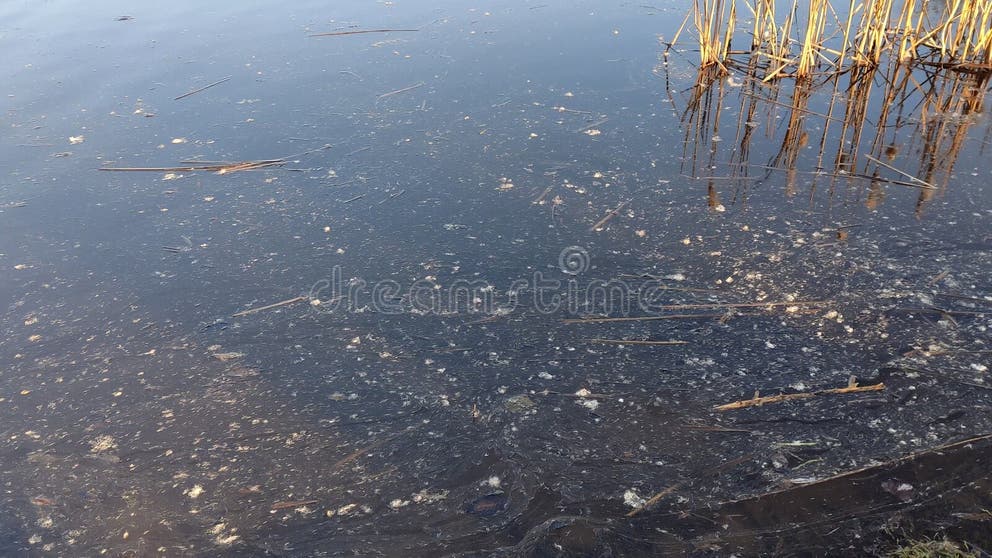 Dirty Lake Covered with Mud Stock Photo - Image of pollution, reflection: 314070748